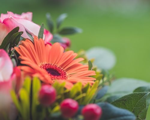 InVision Human Services | Disability Service Provider