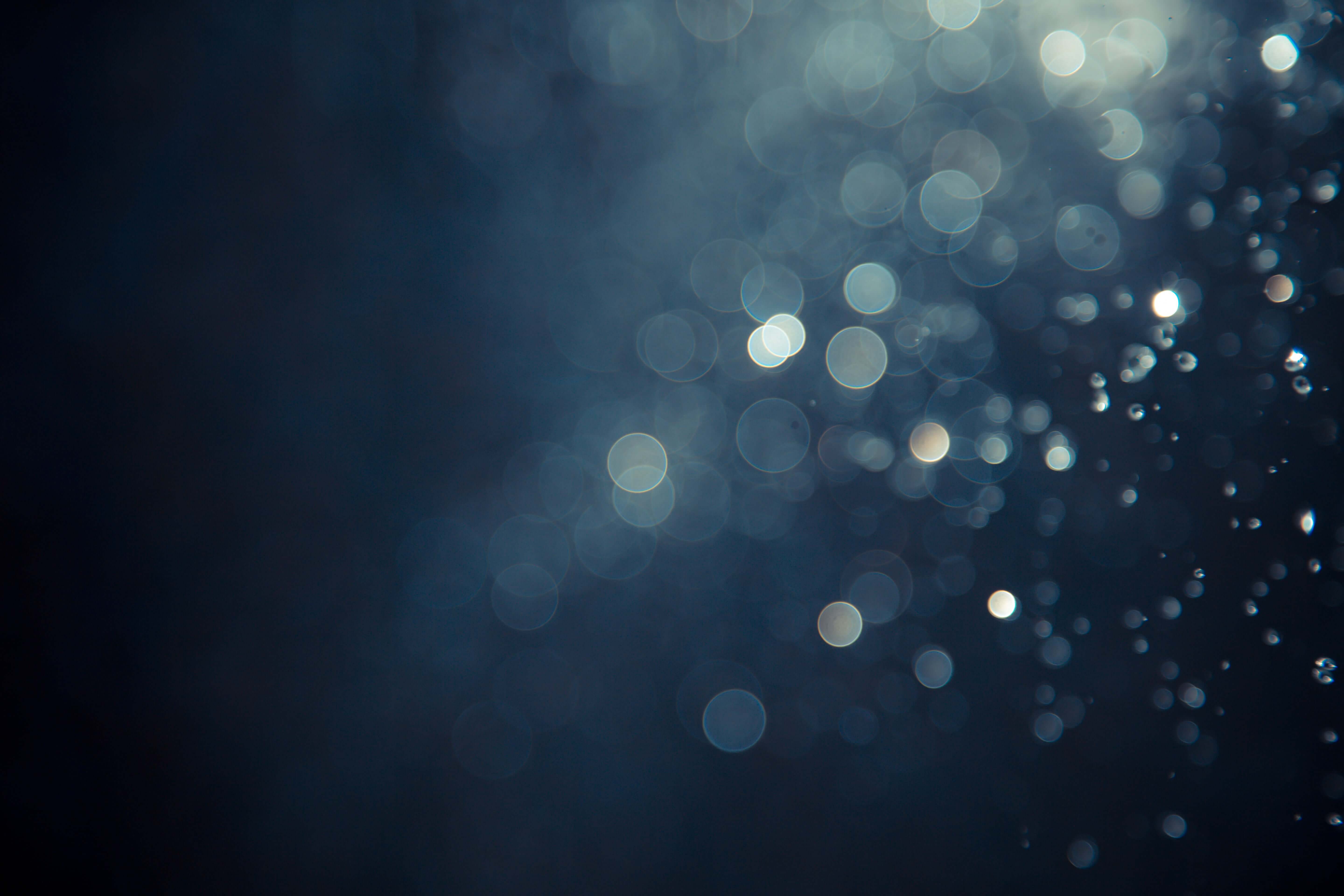 InVision Human Services | The InVisionary News & Views